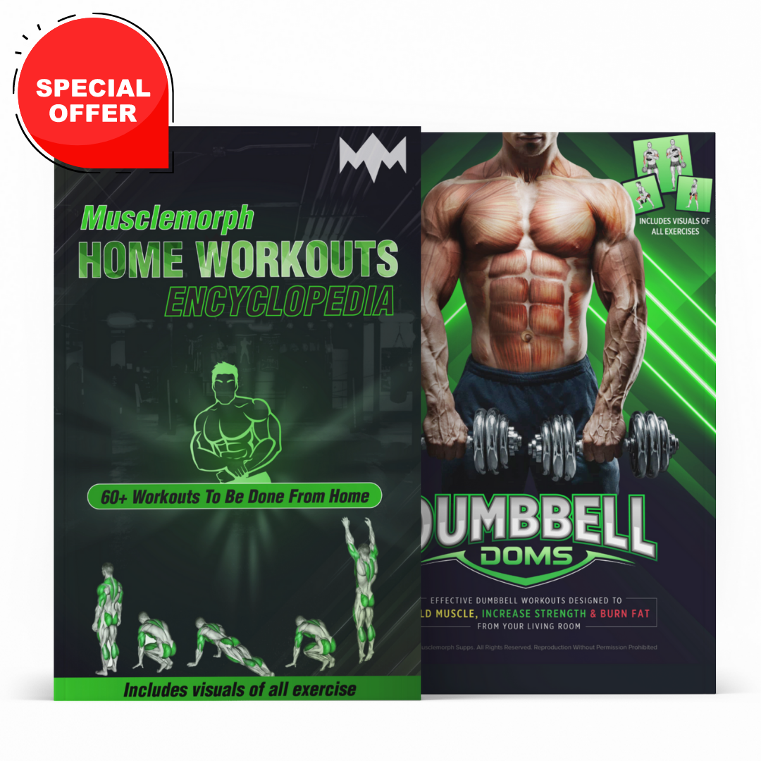WORKOUTS – MuscleMorph